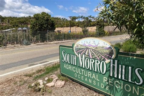 10 Best Neighborhoods In Oceanside Ca 2026 2027 — Where To Live And Buy