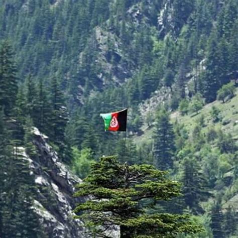 Stream Freshta Sama Pashto Song راشه جانانه Afghan Songs Hd 1080pmp3 By Idran Khan Listen