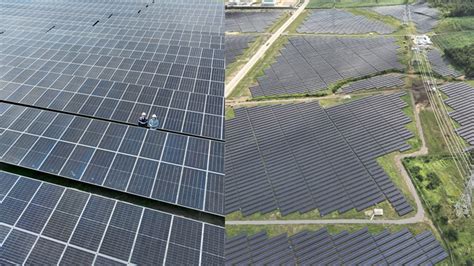 Aboitiz Renewables Secures P74 B Loan For Its Olongapo Solar Project