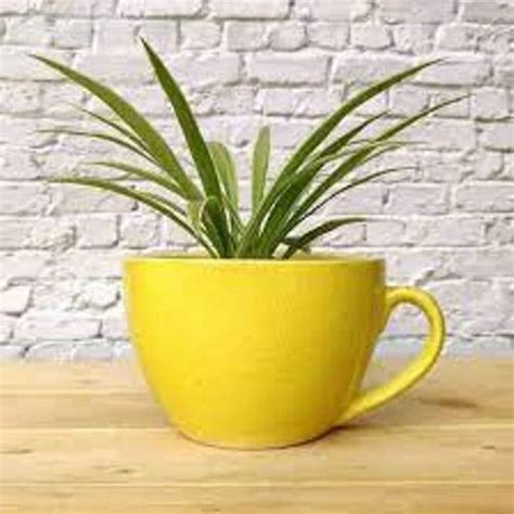 Designer Ceramic Flower Pot For Interior Decor At ₹ 85piece In Khurja