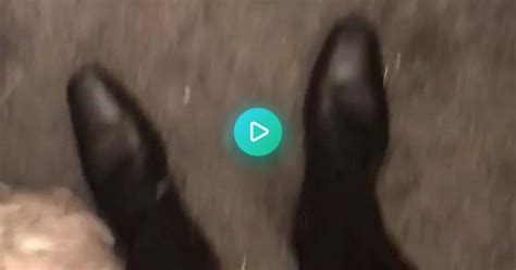 Chungus Bungus Gets His Treat Album On Imgur