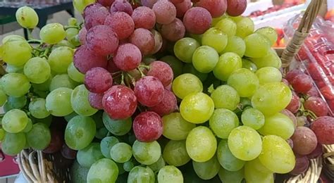 Kamal Hanine Posted On Linkedin