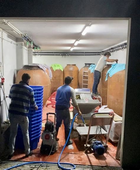 Bojo Do Luar — Savio Soares Selections