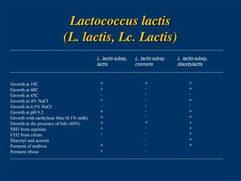 Ppt Lactic Acid Bacteria Powerpoint Presentation Free Download Id