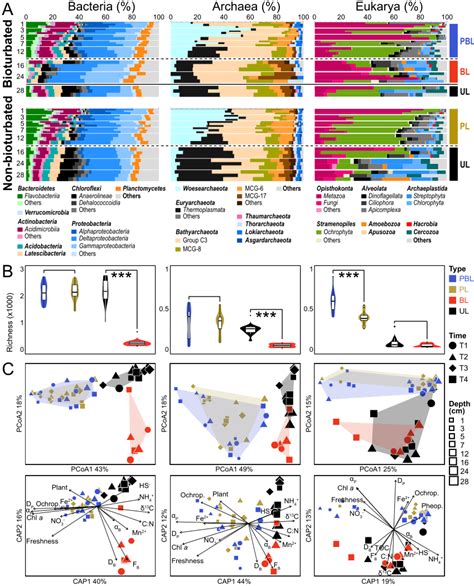 Community Analyses On Bacteria Archaea And Eukarya In Intertidal