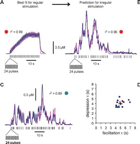 Dopamine Release For Complex Stimulus Patterns A Best Fit Of Model To