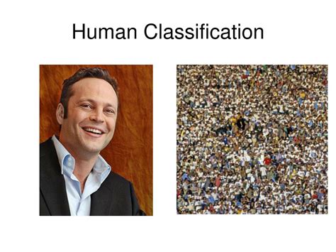 Ppt C L A S S I F I C A T I O N Powerpoint Presentation Free