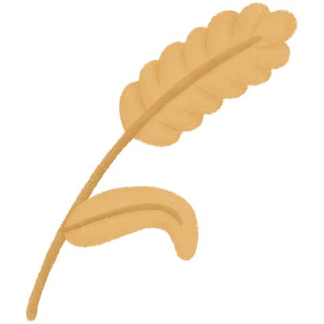 A Wheatgrass For Decoration 59247555 Png