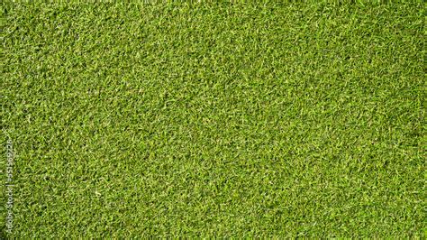 Bright Green Grass Background Grass Texture Artificial Grass