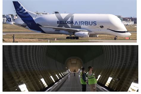 Airbus Beluga Interior What It Is Like Inside The Whale Looking Plane