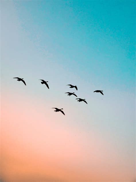 Developers Handbook Medium