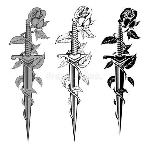 Dagger Rose Stock Illustrations 989 Dagger Rose Stock Illustrations