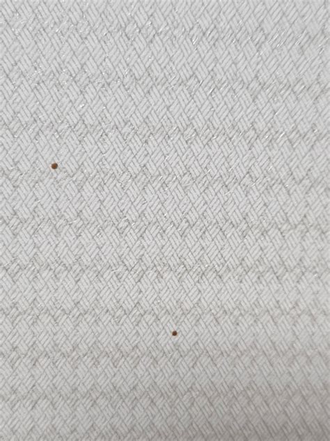 빈대 똥인가요 이게 뭔가요 지식in