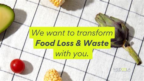 Medoola 123 Food Loss And Waste — Medoola Sustainability Consultancy
