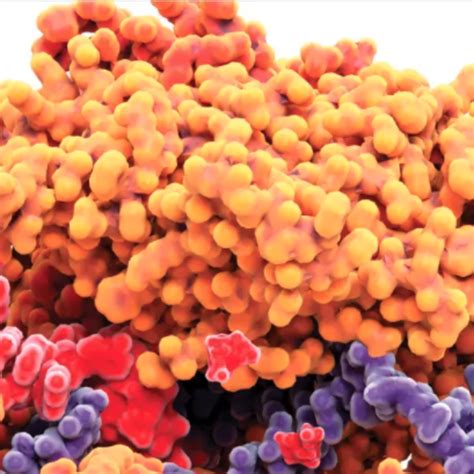 L1000compoundexpression Kaggle