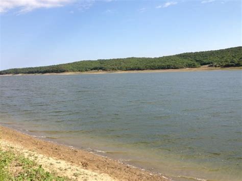 От 21 август земеделските стопани могат да кандидатстват по помощта за напояване Български Фермер