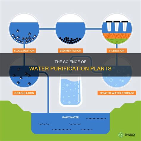 The Science Of Water Purification Plants Shuncy
