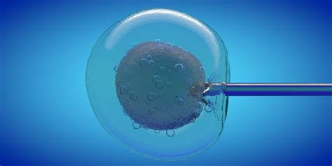 3d Ivf Cell Turbosquid 1492092