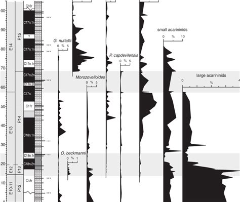 Planktic Foraminifera Data And Resulting Biostratigraphic Classifi Download Scientific Diagram