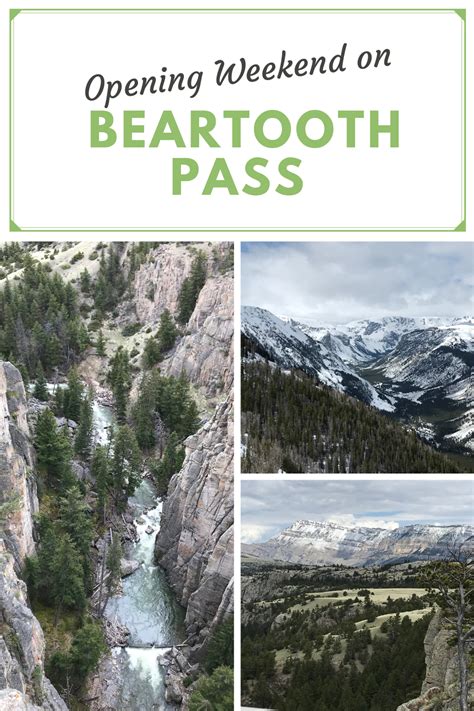 Opening Weekend On Beartooth Pass Tranquil Trekker