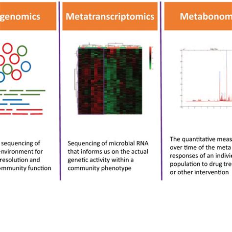 Overview Of The Functional Tree Map The Functional Tree Is A Circular Download Scientific