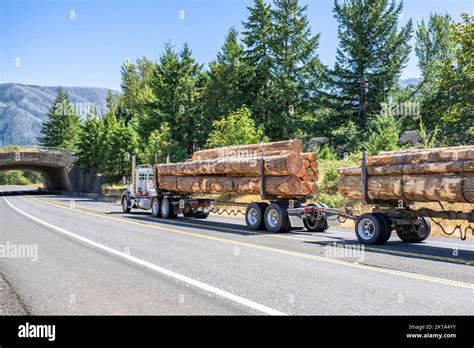 Classic Logging Day Cab Big Rig Semi Truck Tractor Transporting Wood
