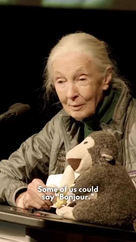 Hallo Album On Imgur