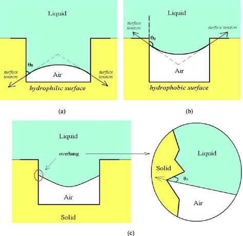 Schematic Representation Of The Cross Section Of The Droplet Substrate