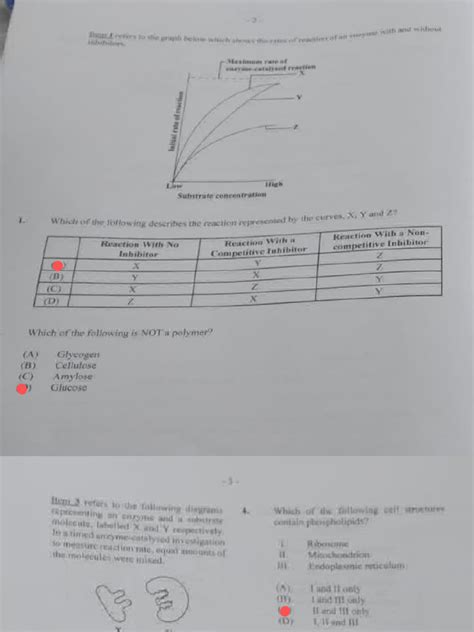 2023 Bio Solution P1 Pdf Fertilisation Cell Biology