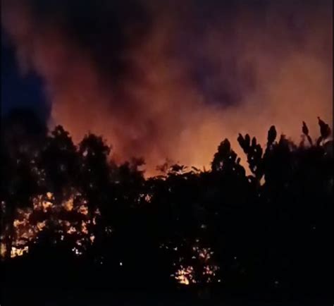 Ruinous Behavoiur Of State Forces In Moreh Causes Escalating Tension