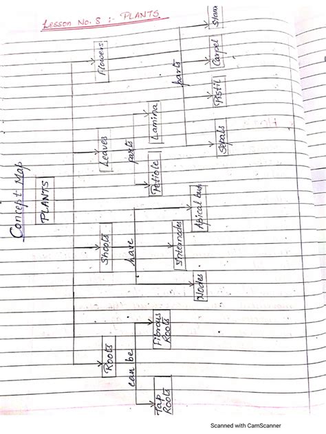 Lesson No 8 Plants Pdf