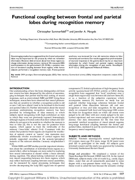 Pdf Functional Coupling Between Frontal And Parietal Lobes During