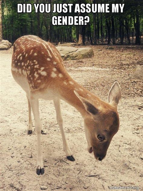 Did You Just Assume My Gender O M G Deer Meme Generator