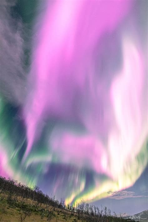 Pink Aurora Borealis