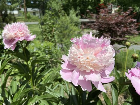 Eric Van Dyke Art Added A New Photo — Eric Van Dyke Art