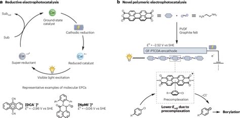 Heterogeneous Polymer Designs That Bring Electricity Light And