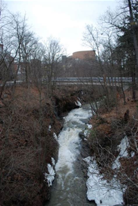 Cornell Suicides Do Ithacas Gorges Invite Jumpers Huffpost College