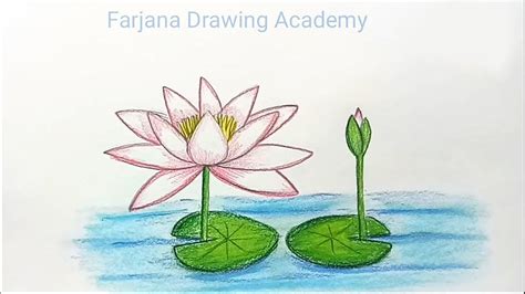 How To Draw A Water Lily Step By Step The Images Above Represents How