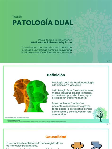 Patología Dual Desafíos Y Tratamientos Pdf Trastorno Mental La