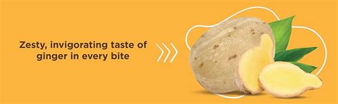 Ginger Mints Hard Candy 2 Pound Bulk Pack About 170 Count Old Fashioned