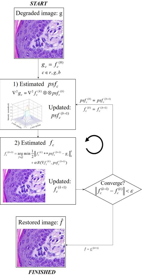 Figure 1 From Blind Deconvolution Based On Compressed Sensing With Bi L0 L2 Norm Regularization