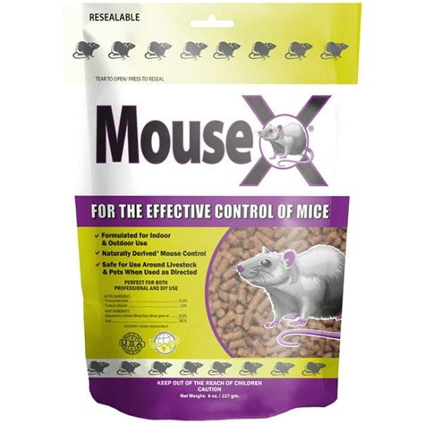 Mouse Bait In Mouse