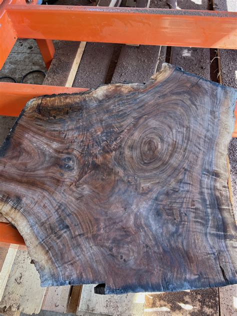 Walnut Wood Slab 30 X 25 34 X 1 12 Frison Logue Hardwoods