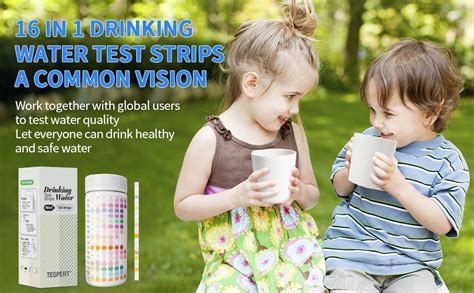 Water Testing Kits For Drinking Water 125 Strips 16 In 1 Drinking