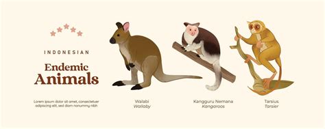 Isolated Indonesian Endemic Animals Illustration Cell Shaded Style