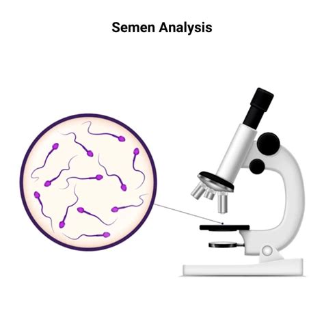 Semen Analysis Test Midtown Nyc And Rego Park Queens Semen Test