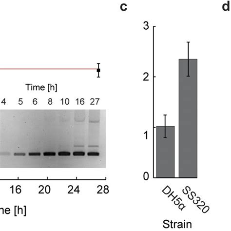 Shaker Flask Production Of Pure Cssdna A Shaker Flask Growth Of