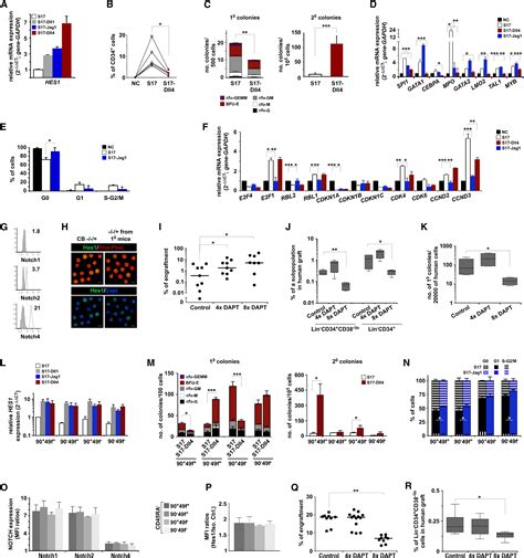 Cd34− Cells At The Apex Of The Human Hematopoietic Stem Cell Hierarchy Have Distinctive Cellular