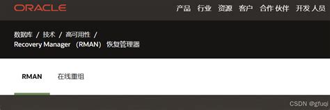Oracle数据库备份工具，可以备份oracle数据库的工具有那些？ Csdn博客