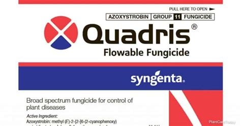 Azoxystrobin Fungicide Boosts Growth In Venus Flytraps